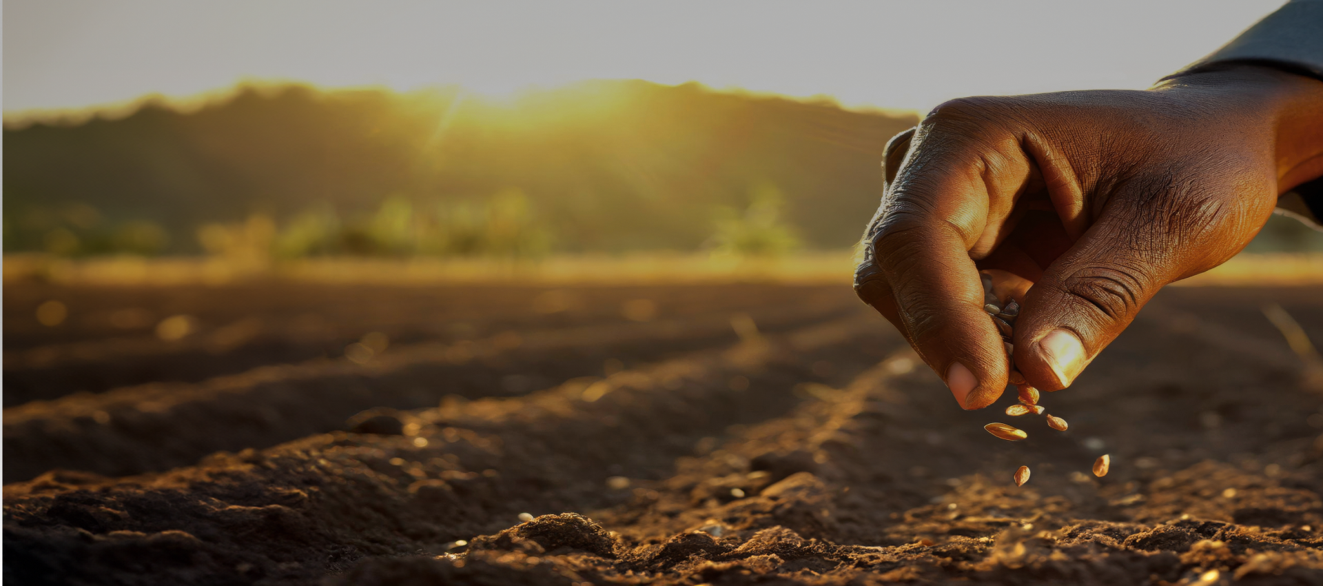 Self-service ingestion: The key to creating a unified, scalable, cloud data lake - Impetus